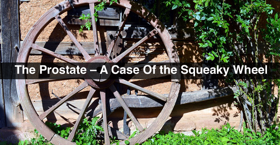 The Prostate – A Case Of the Squeaky Wheel ! - Radiant Health Project
